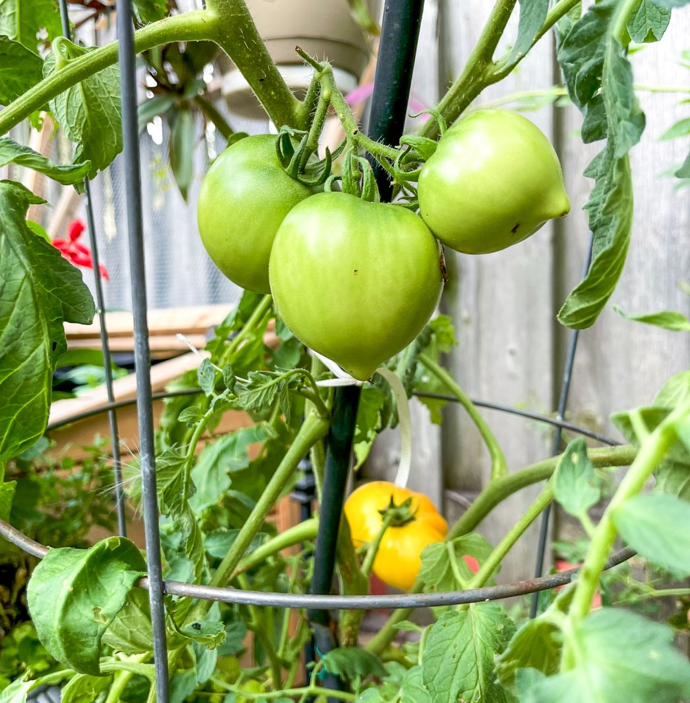 Flourish with food – Food & nutrition to help you flourish